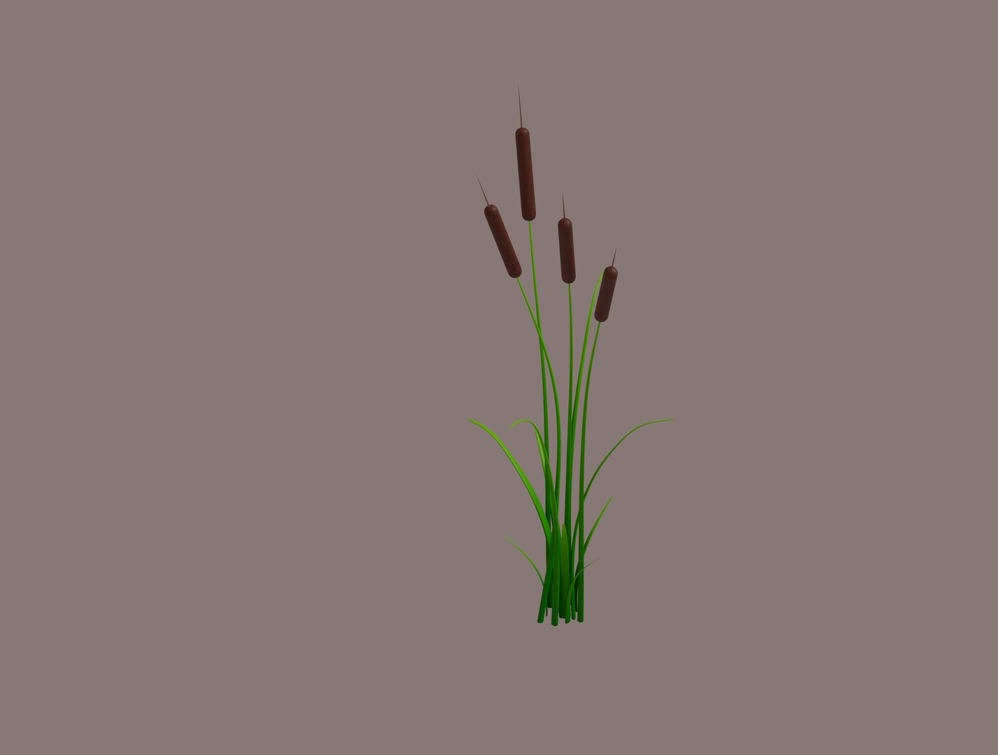 Cattail Model - TurboSquid 1757214
