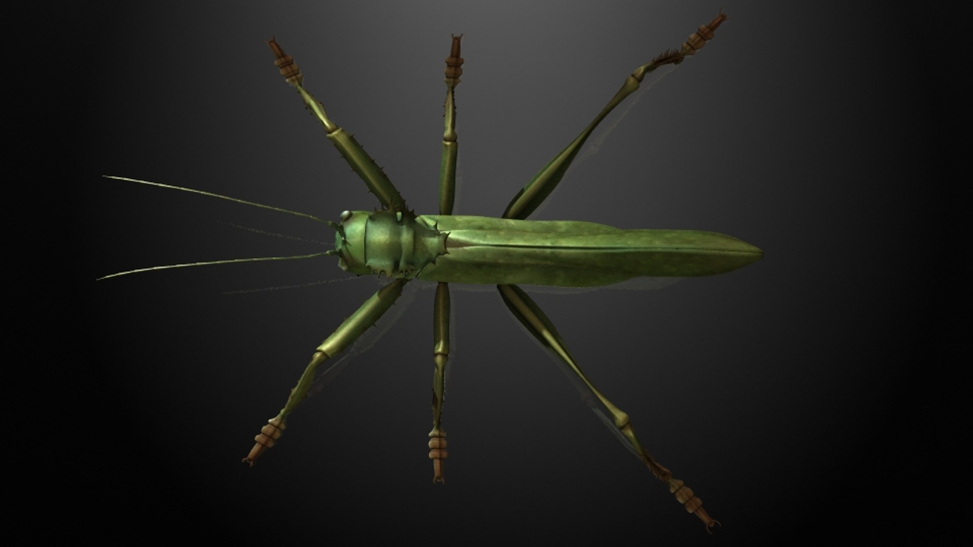 3D insect model - TurboSquid 1214252