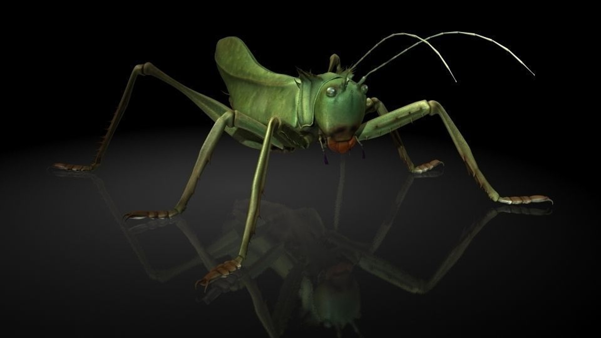 3D insect model - TurboSquid 1214252