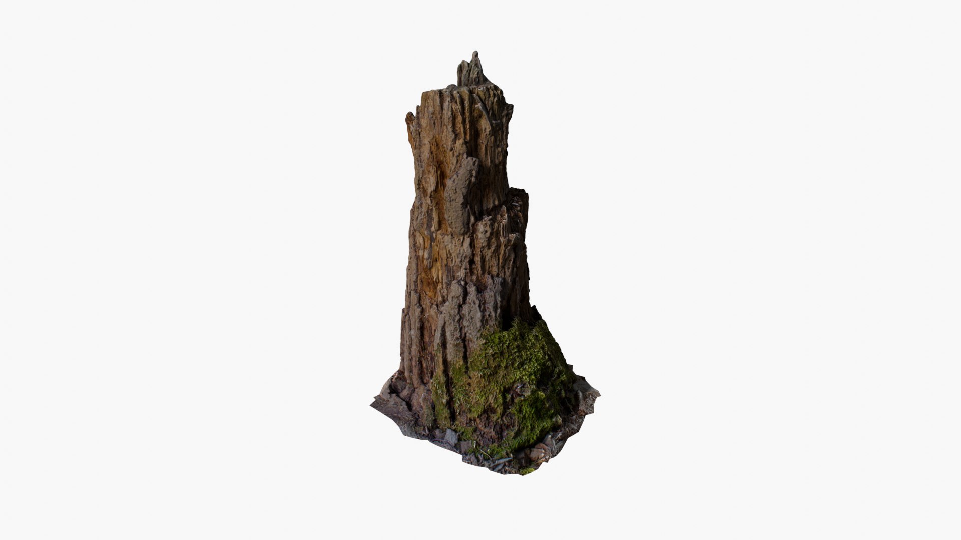 Free 3D Model Tree Stump 002 - TurboSquid 2063856