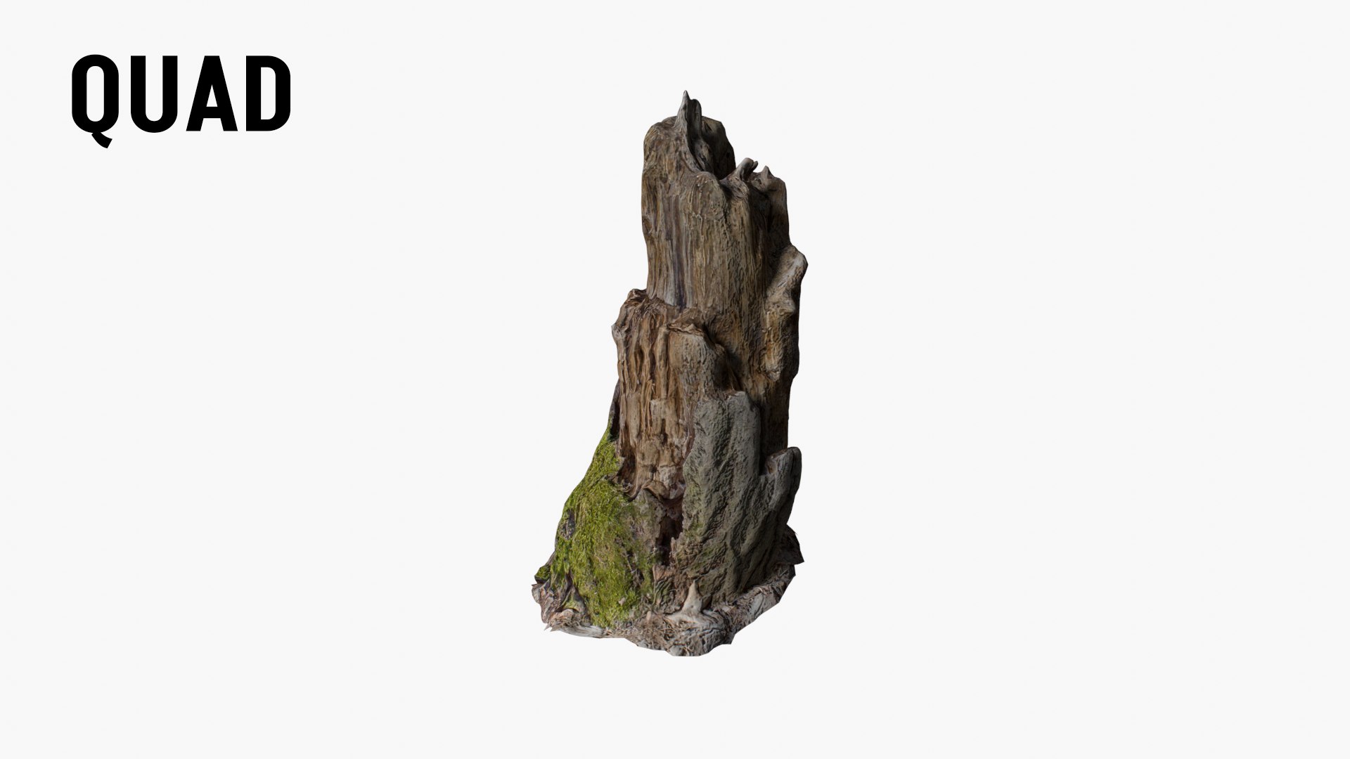 Free 3D Model Tree Stump 002 - TurboSquid 2063856