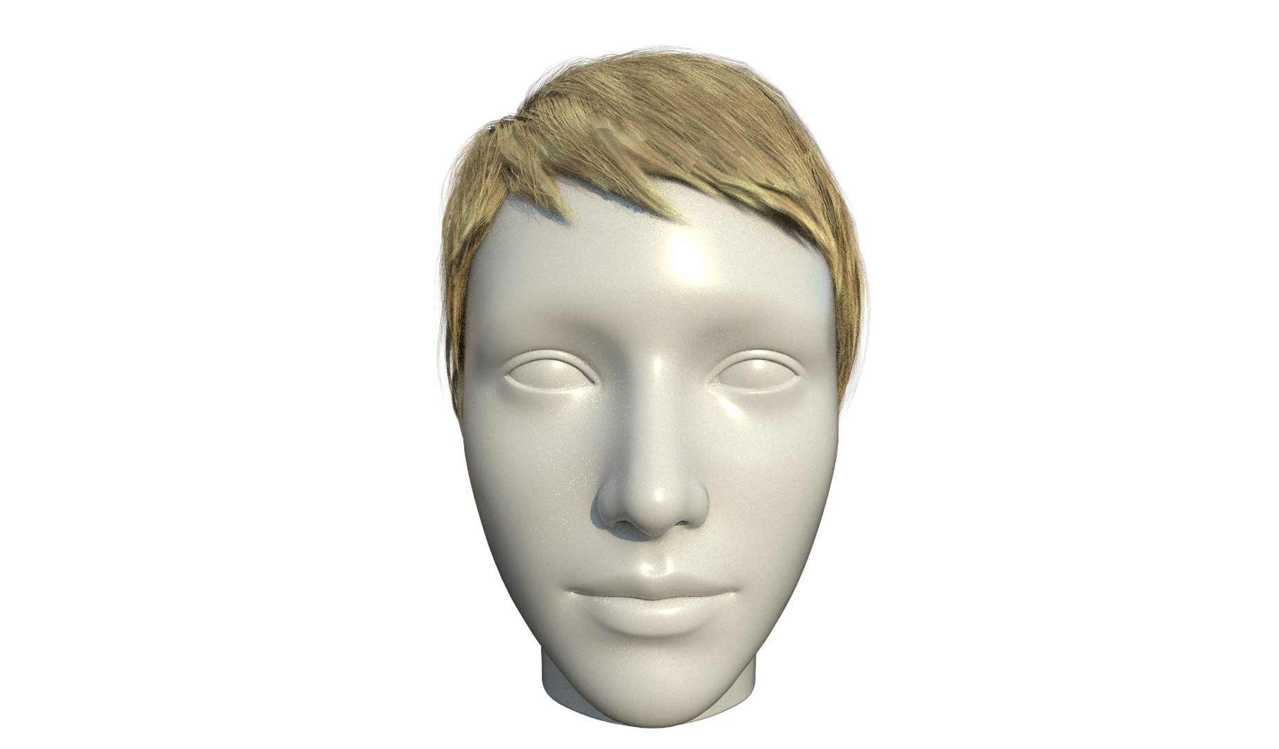 3D Hair Haircut Model - TurboSquid 1501489