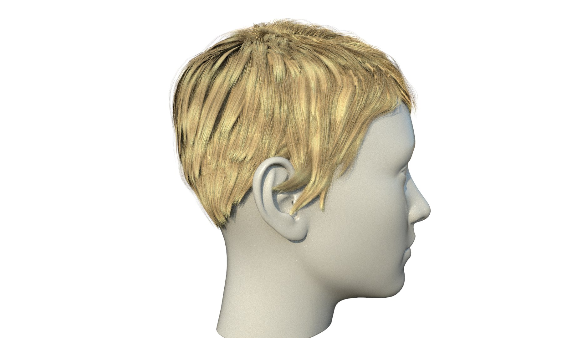 3D hair haircut model - TurboSquid 1501489