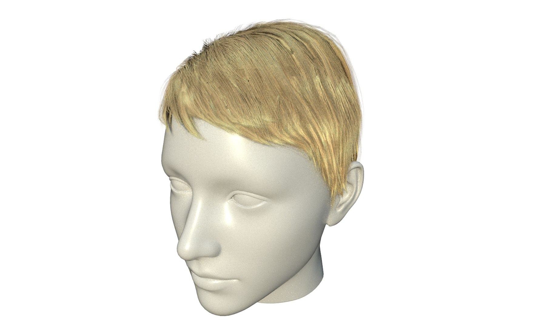 3D hair haircut model - TurboSquid 1501489