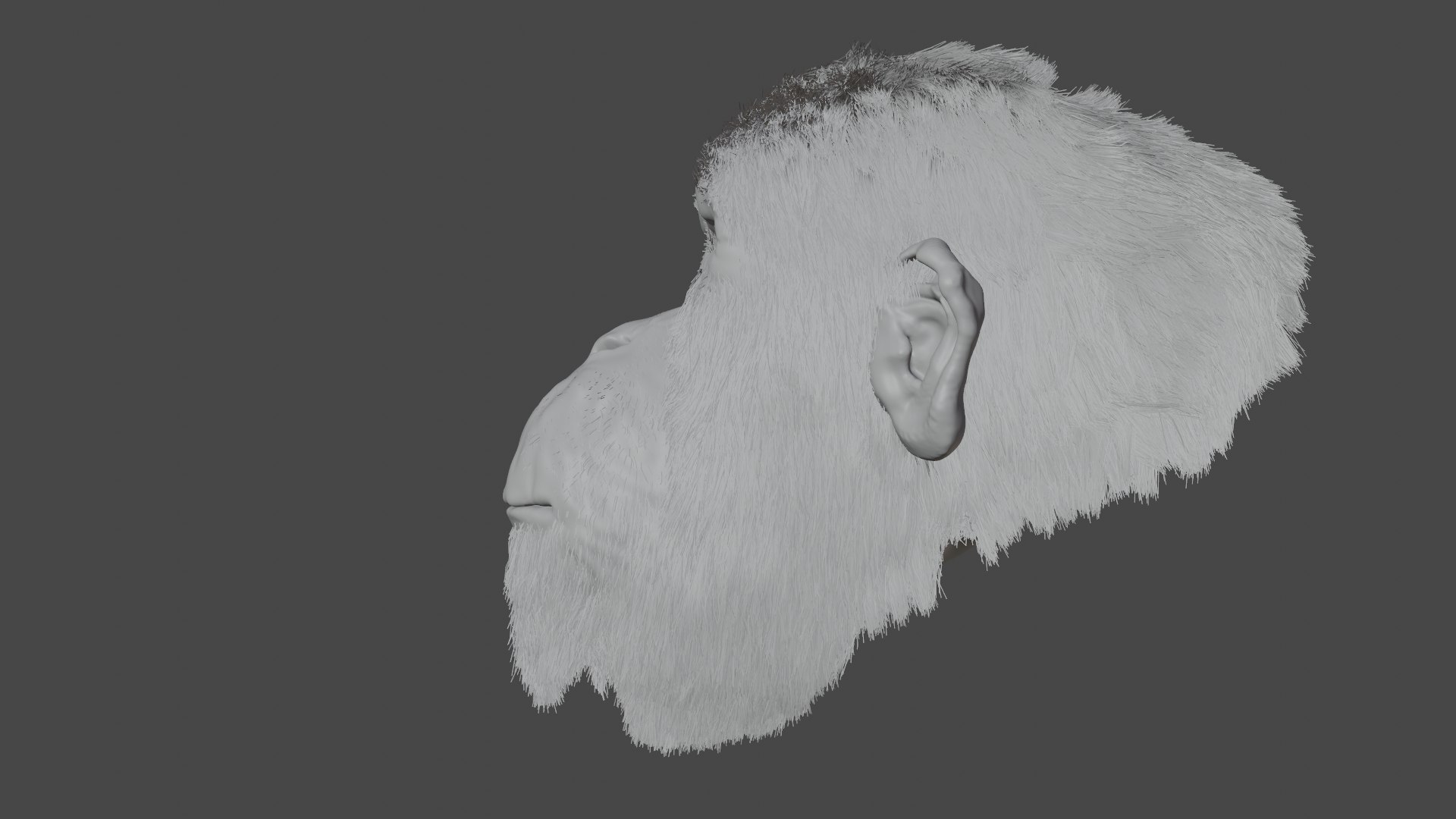 Chimp 3D Model - TurboSquid 1779159