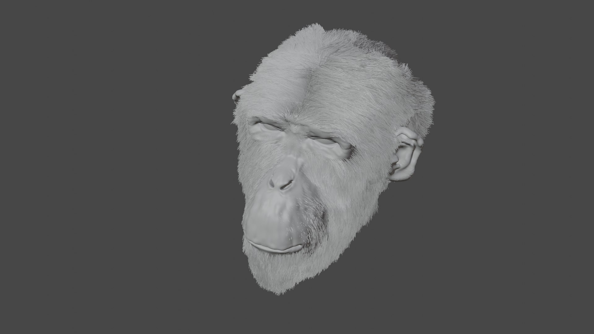 Chimp 3D Model - TurboSquid 1779159