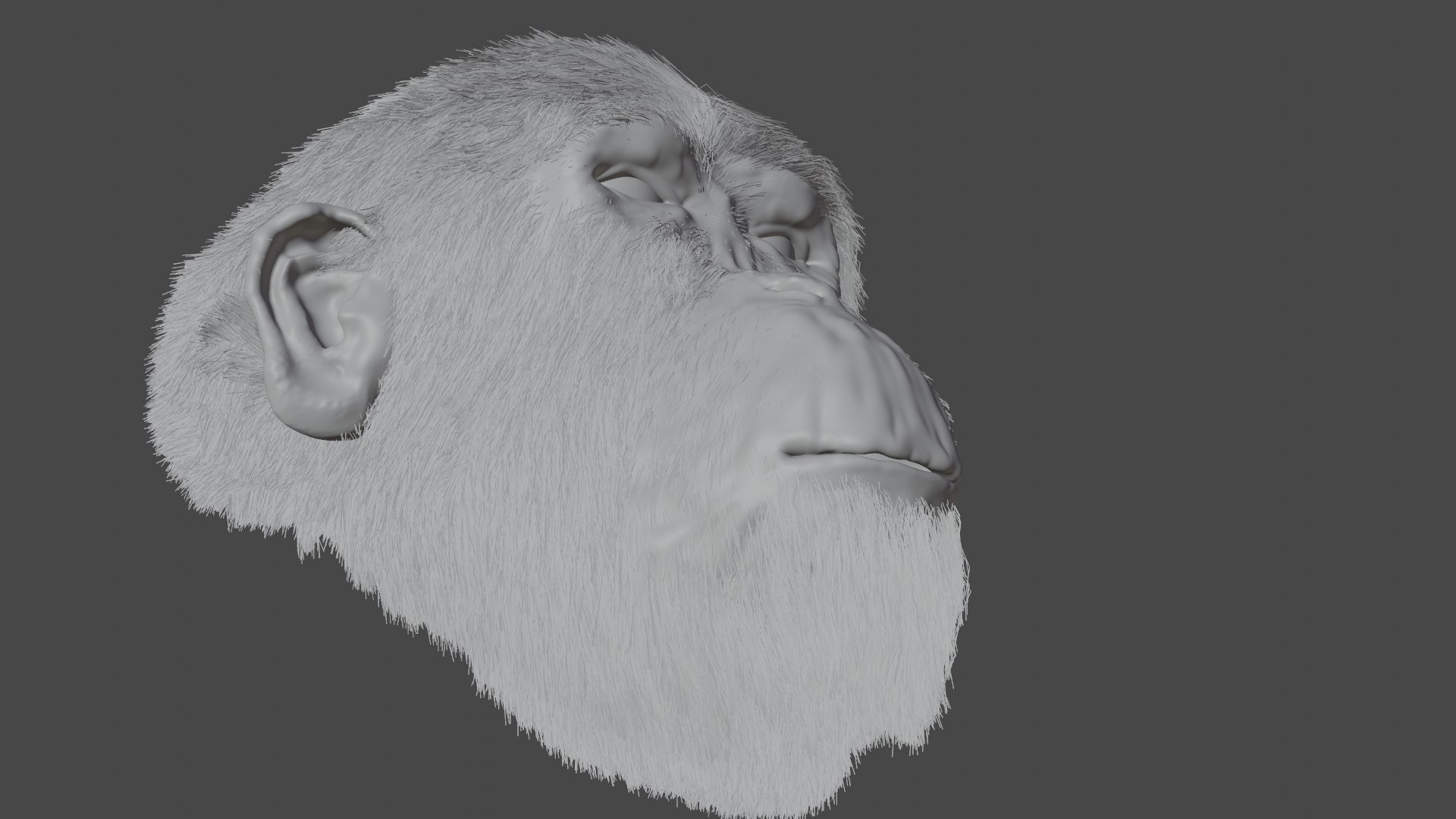 Chimp 3D Model - TurboSquid 1779159