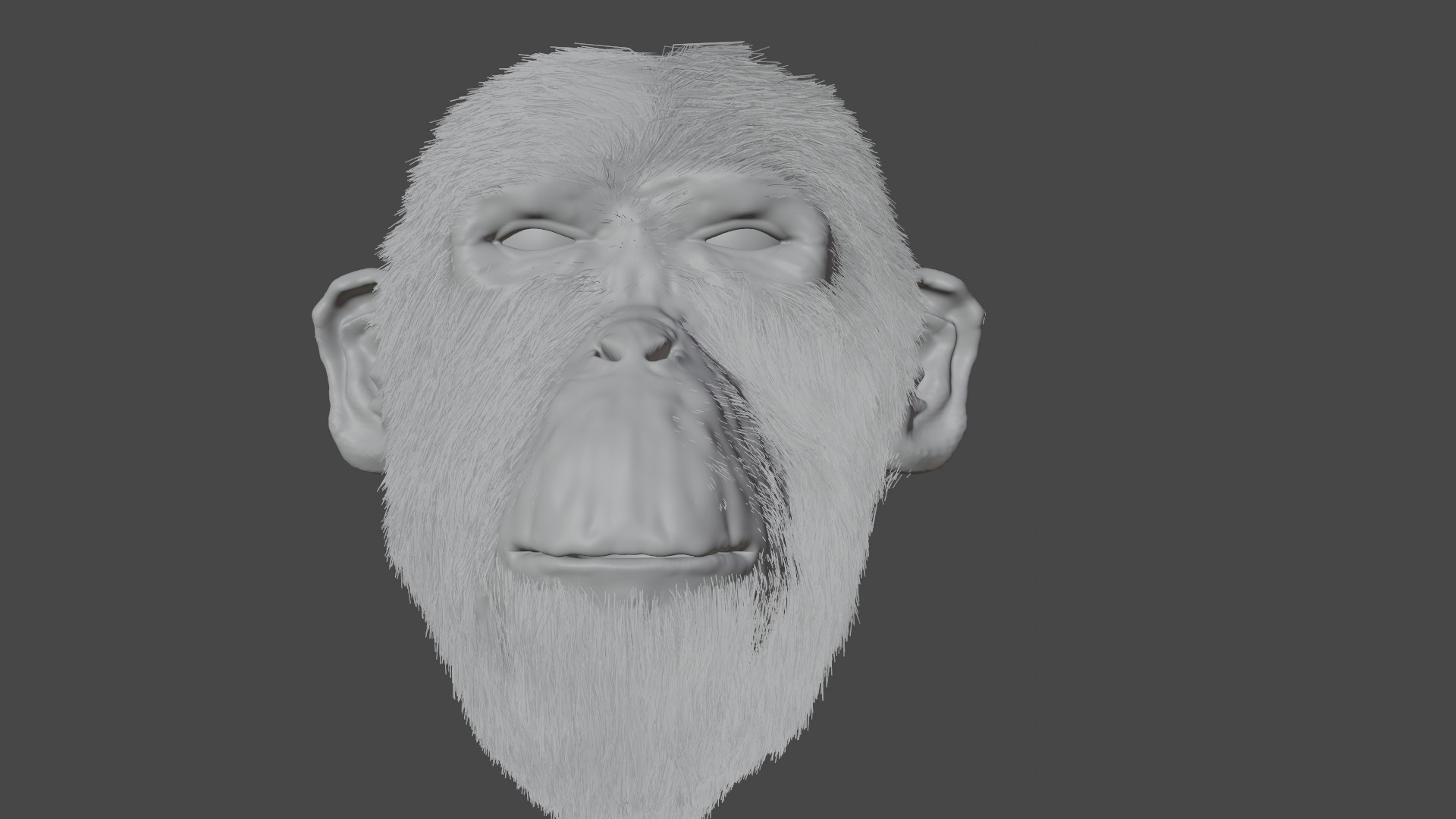 Chimp 3D Model - TurboSquid 1779159