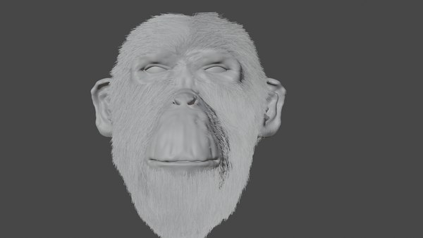 Blender Monkey Models | TurboSquid