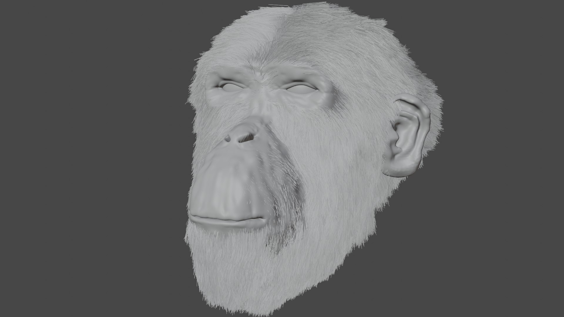 Chimp 3D Model - TurboSquid 1779159