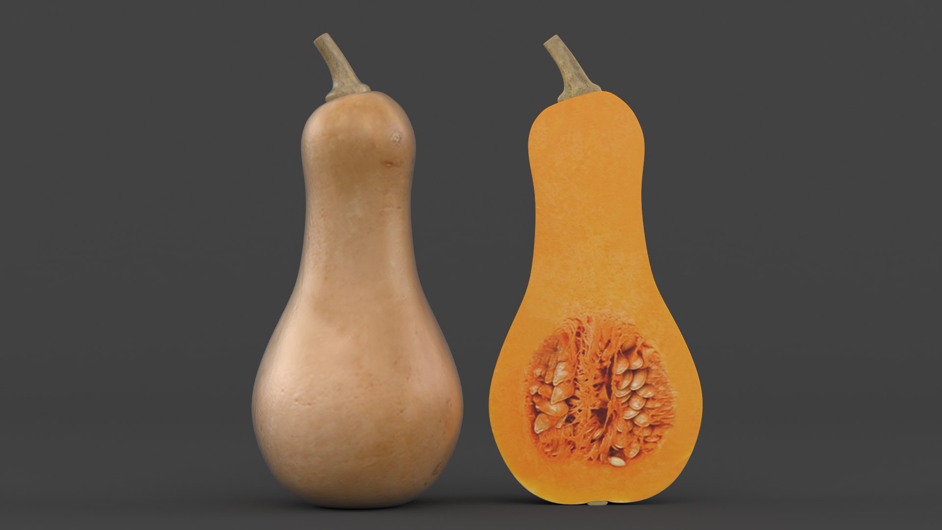 3D Pumpkin Model - TurboSquid 1986181