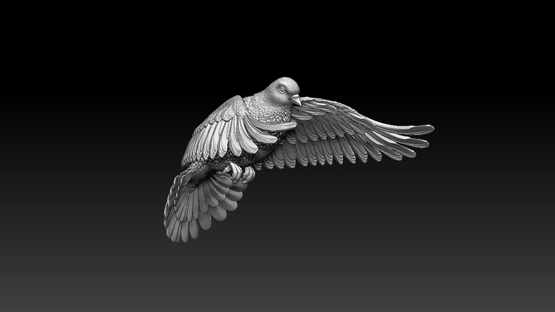 Dove 3D Model - TurboSquid 1901414