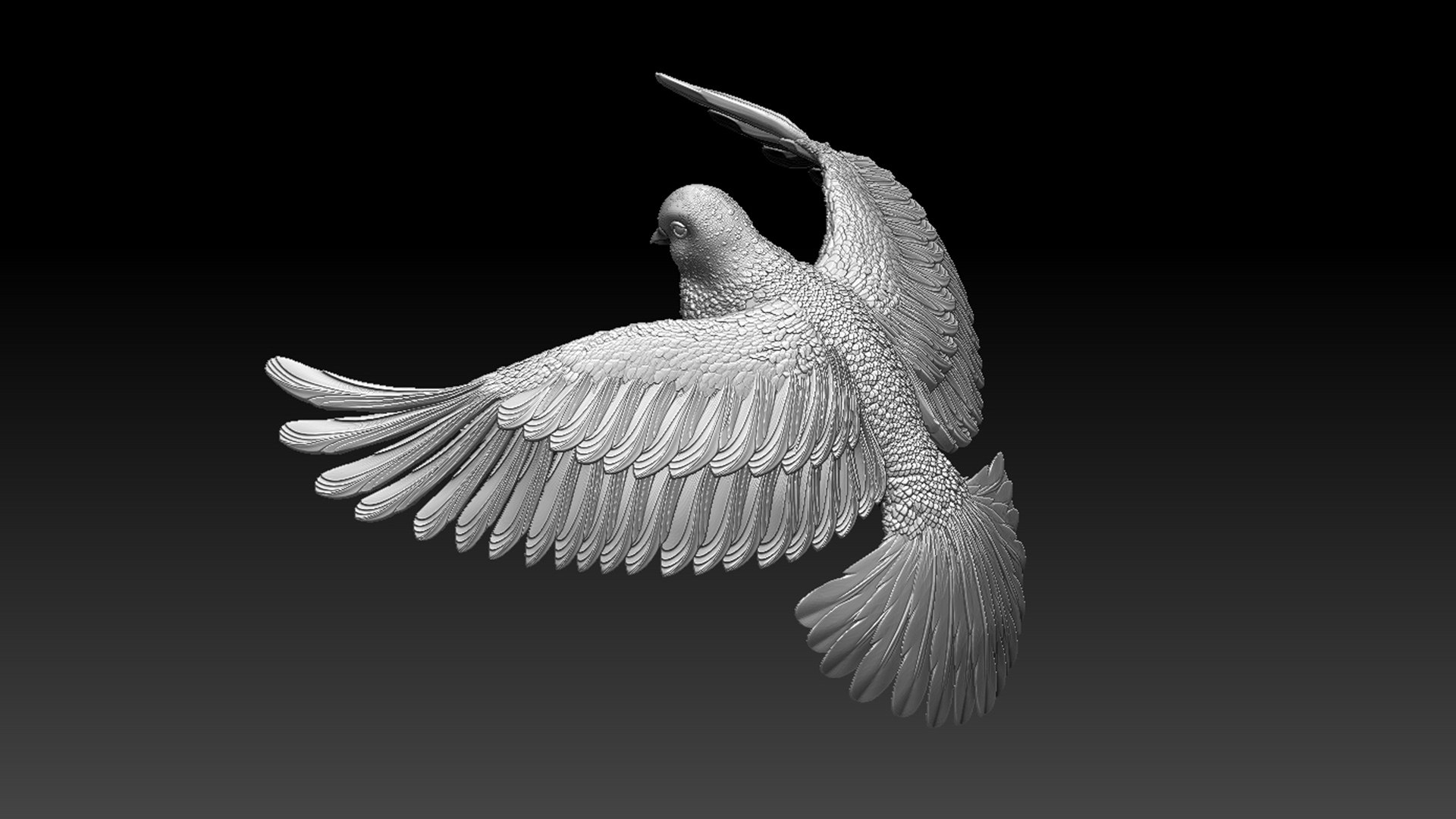 Dove 3D Model - TurboSquid 1901414