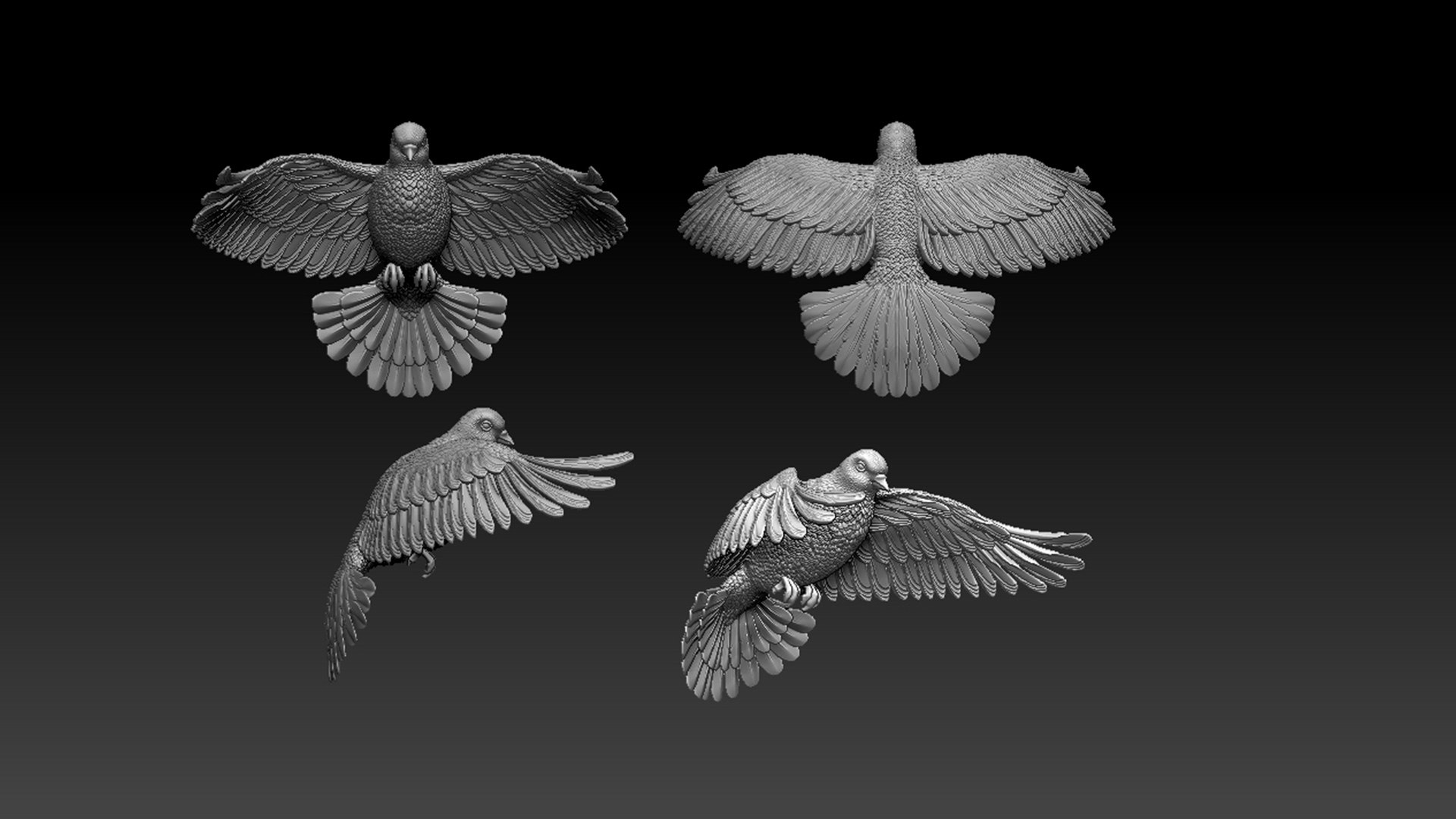 Dove 3D Model - TurboSquid 1901414