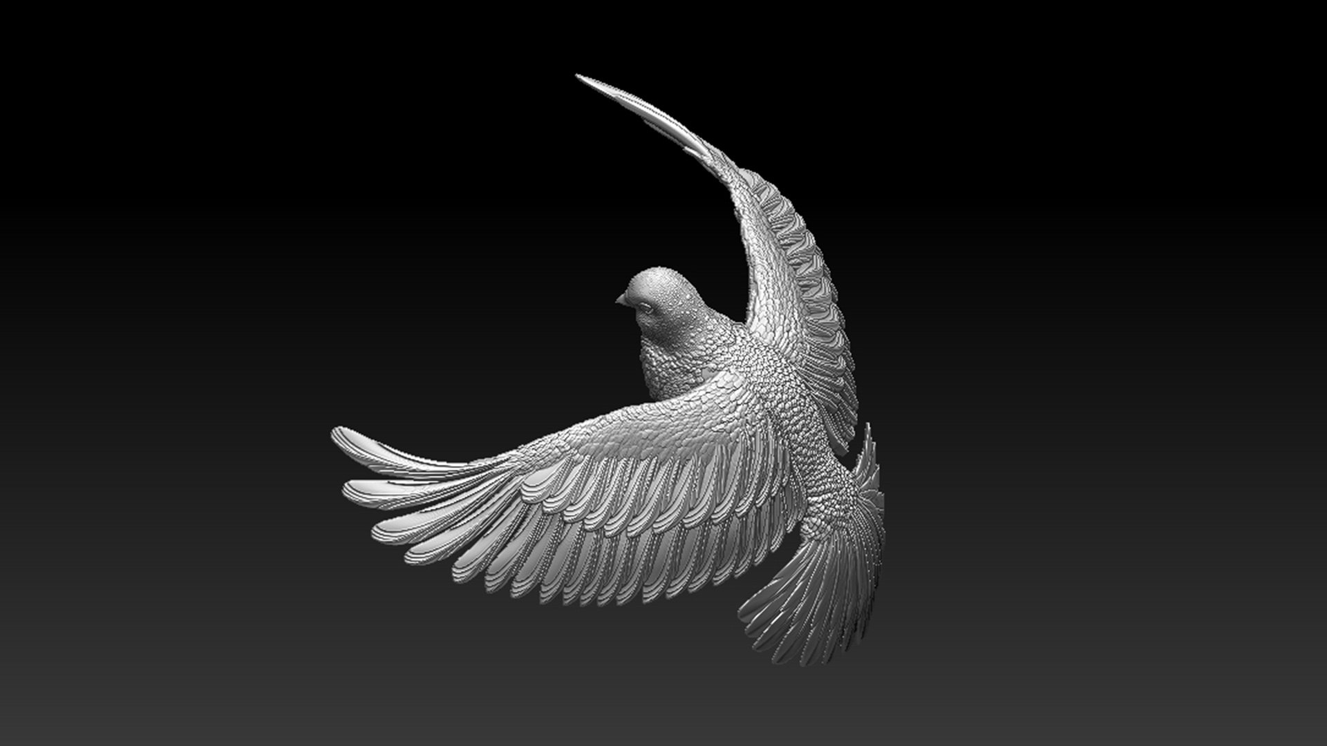 Dove 3D Model - TurboSquid 1901414