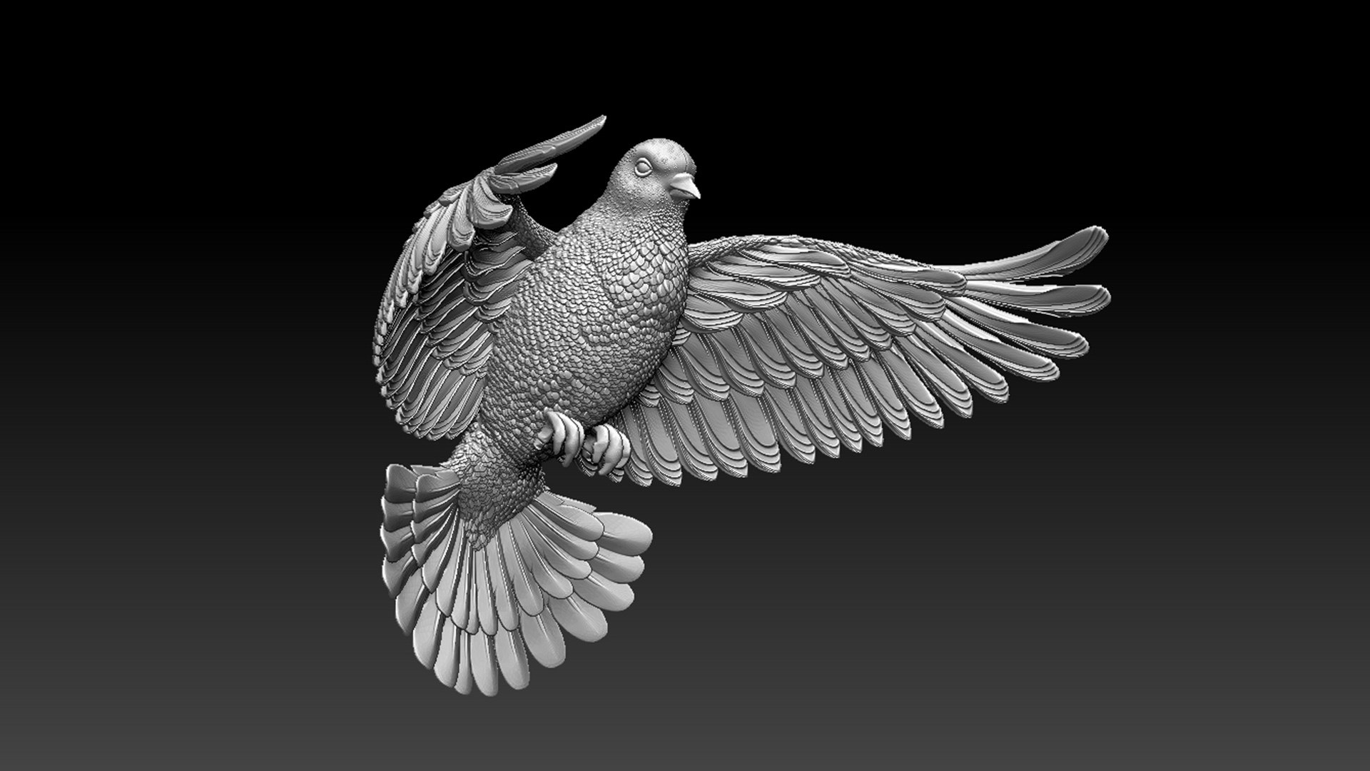 Dove 3D Model - TurboSquid 1901414