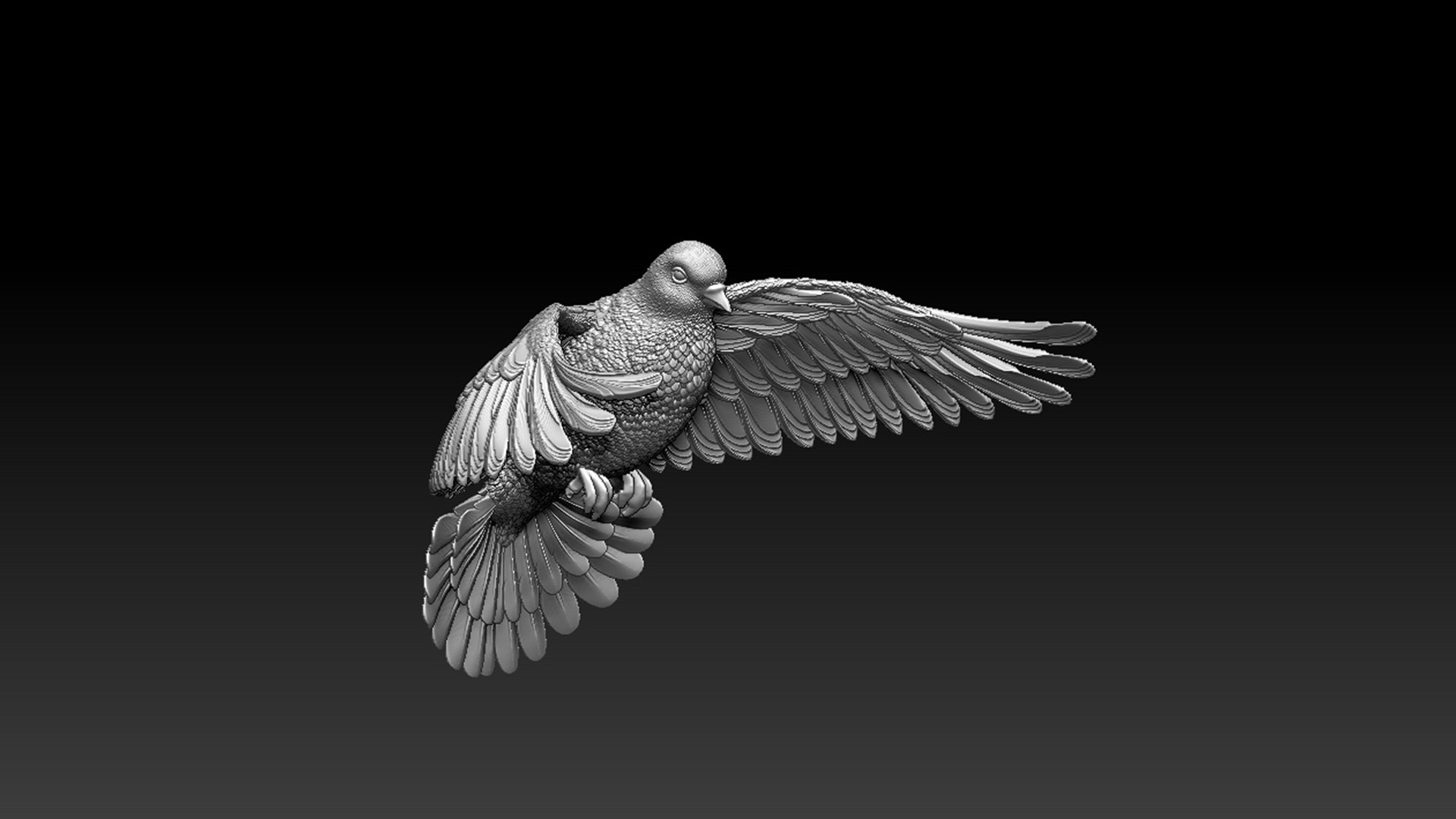Dove 3D Model - TurboSquid 1901414