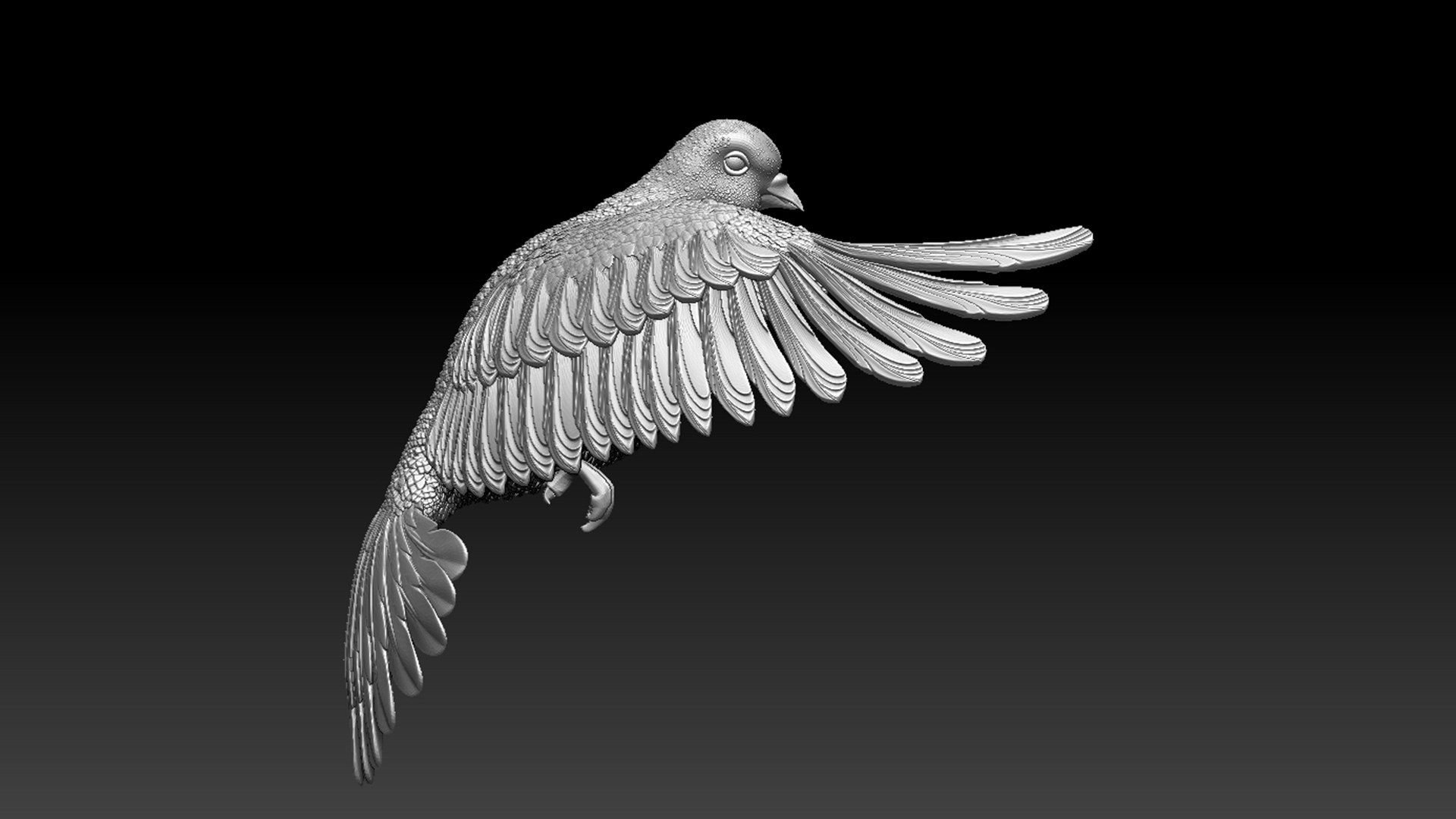 Dove 3D Model - TurboSquid 1901414