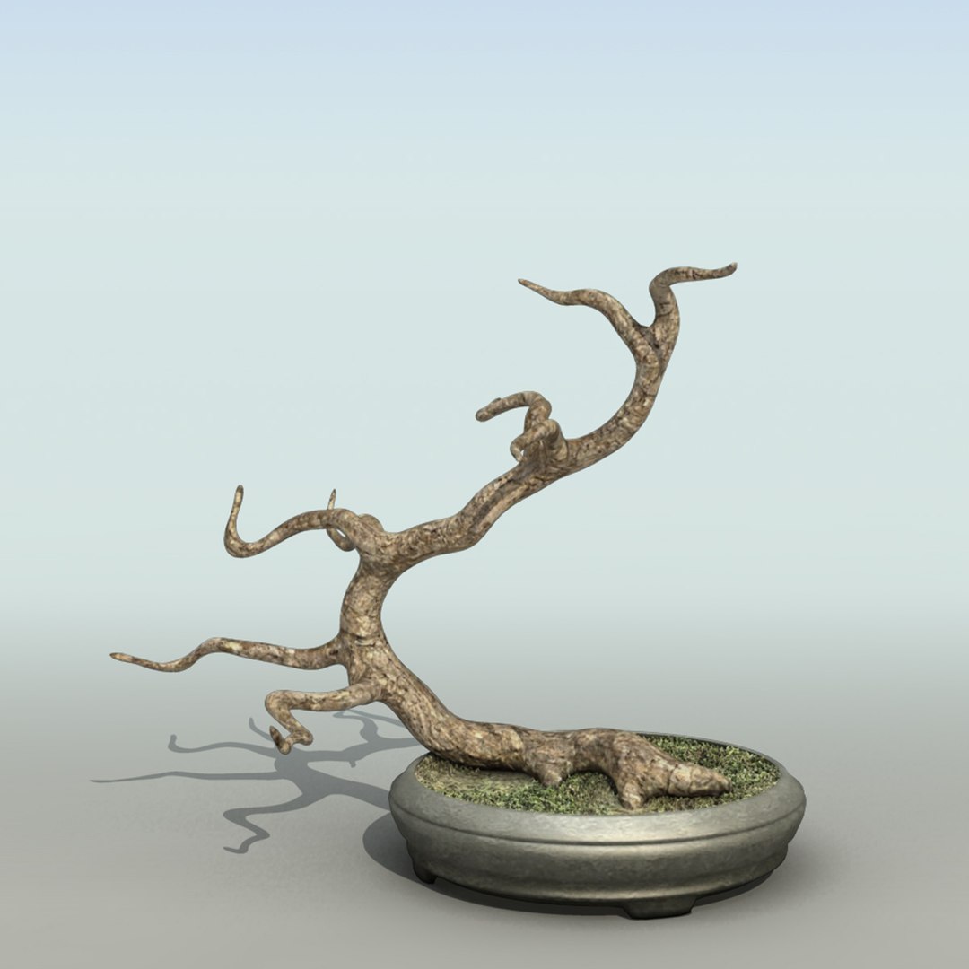 Bonsai Tree C4d