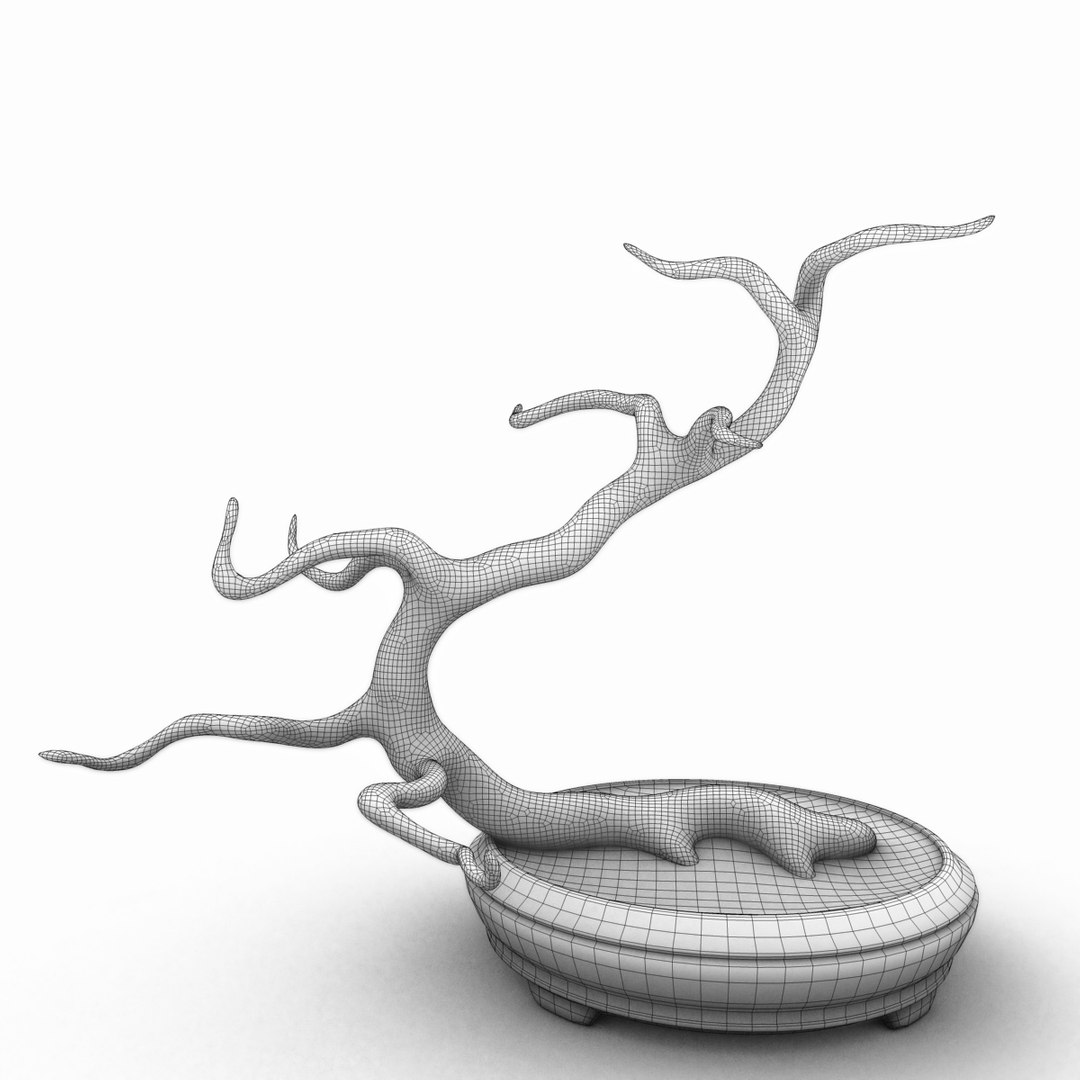 Bonsai Tree C4d