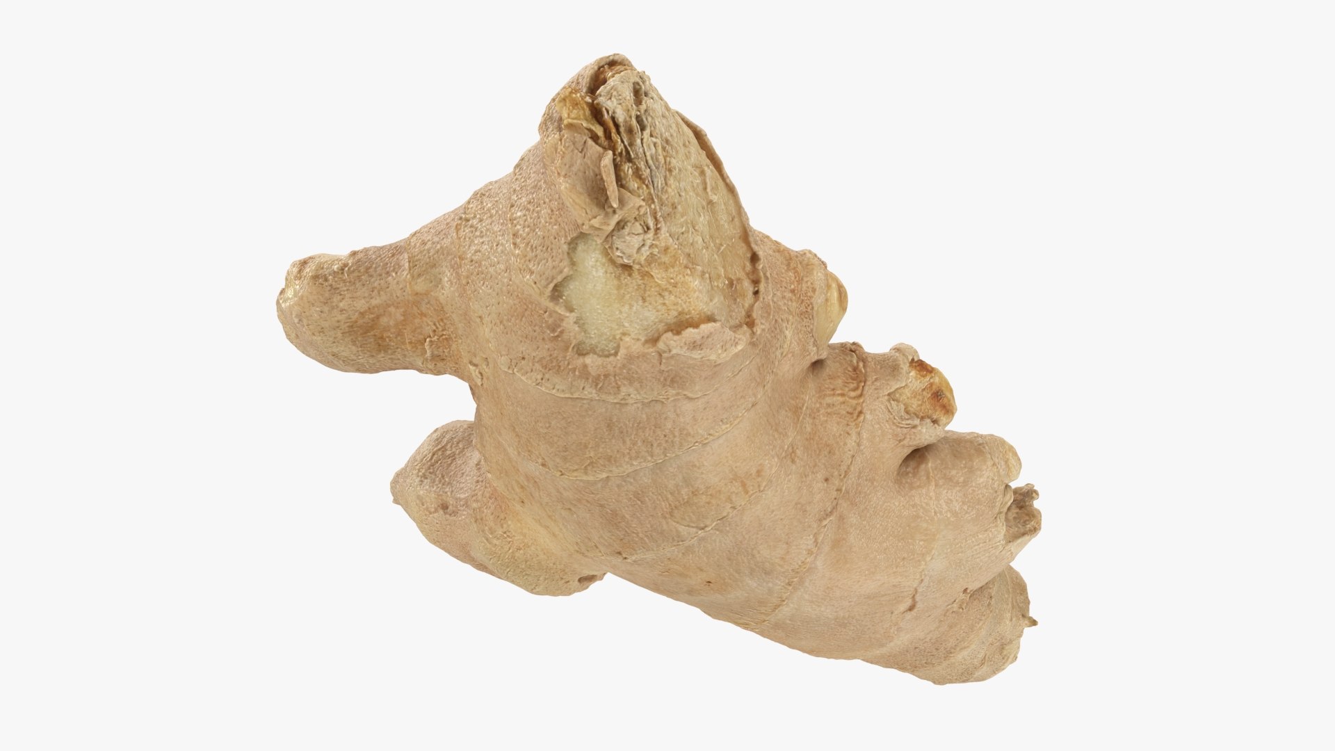 3D Model Ginger Root 01 - TurboSquid 2384330