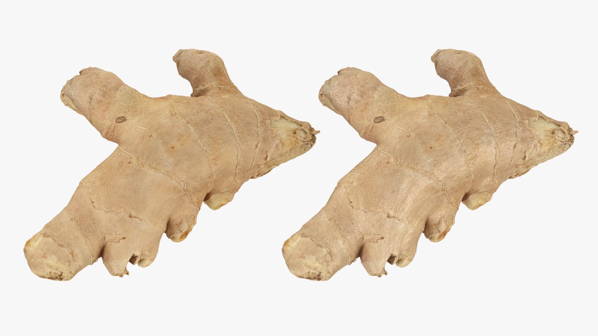3D Model Ginger Root 01 - TurboSquid 2384330