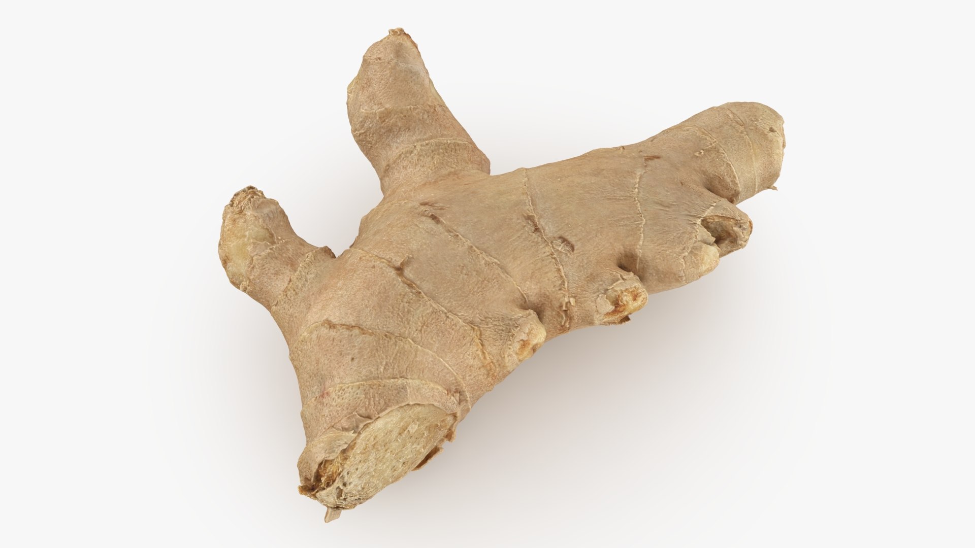 3D Ginger Collection - TurboSquid 2388045