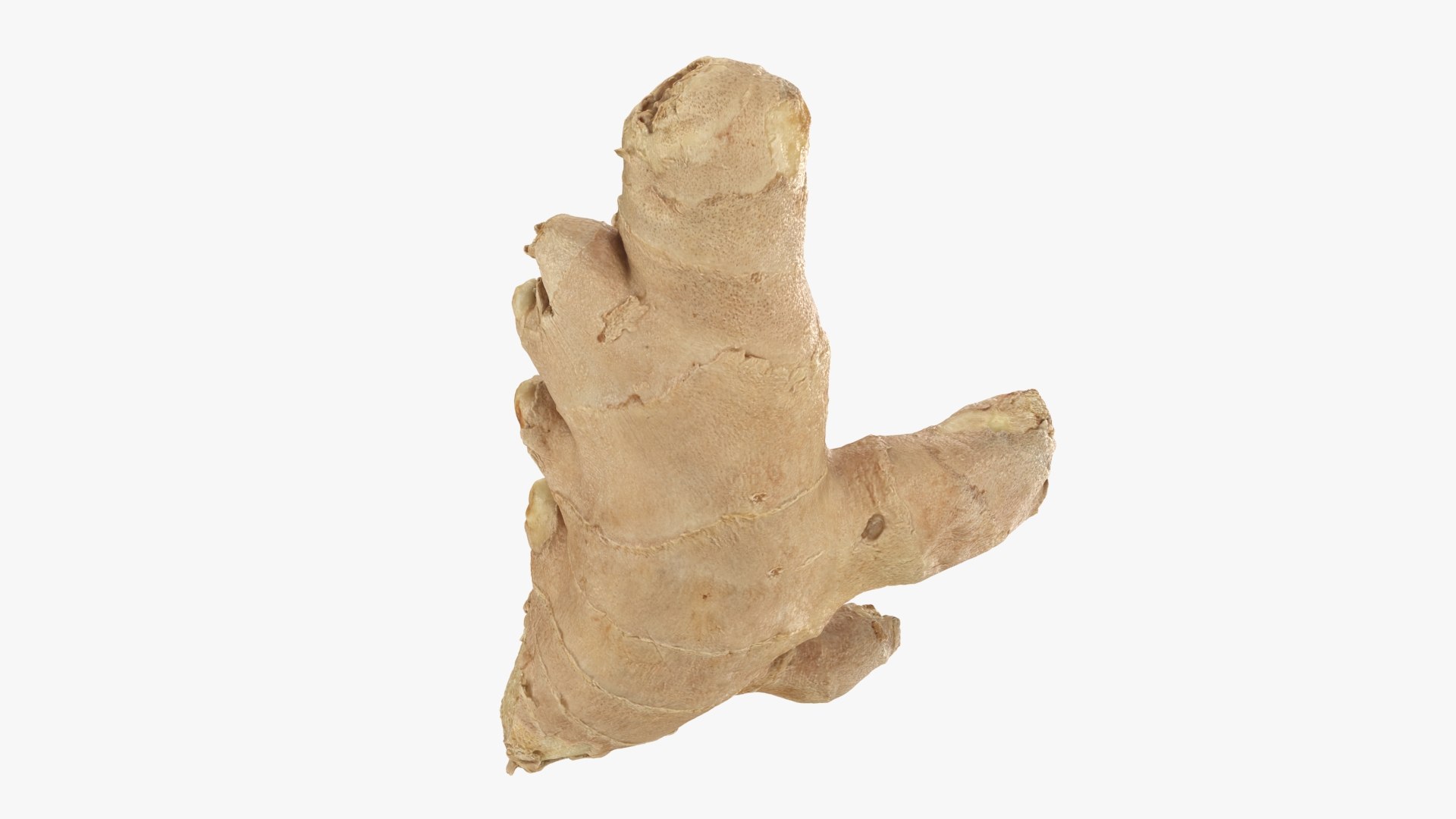 3D Model Ginger Root 01 - TurboSquid 2384330