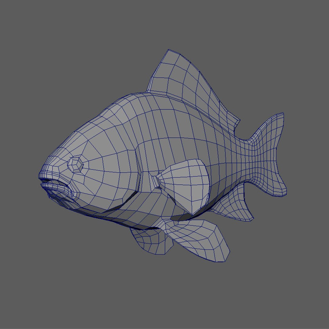 3d Model Fish Crucian