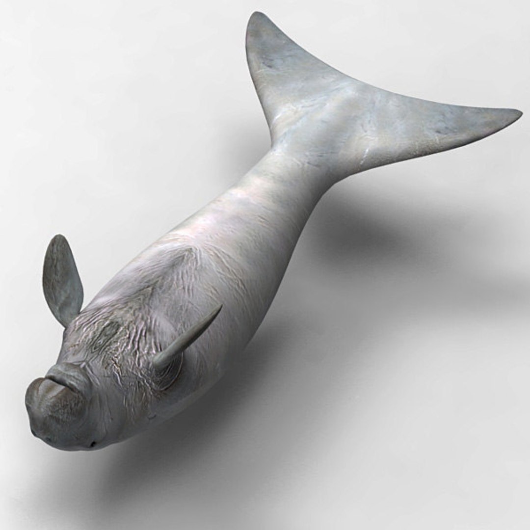 Poser dugong model - TurboSquid 1250670