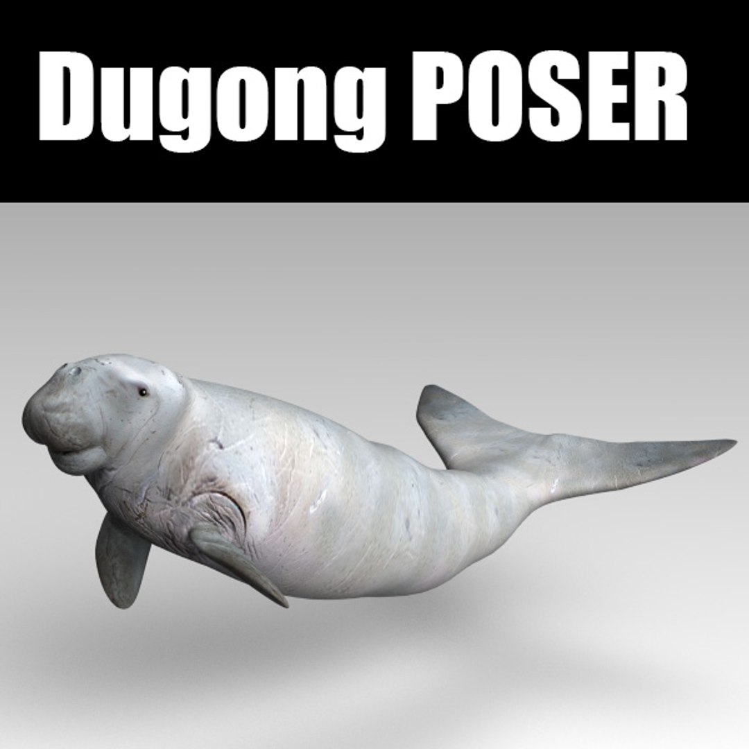 Poser dugong model - TurboSquid 1250670