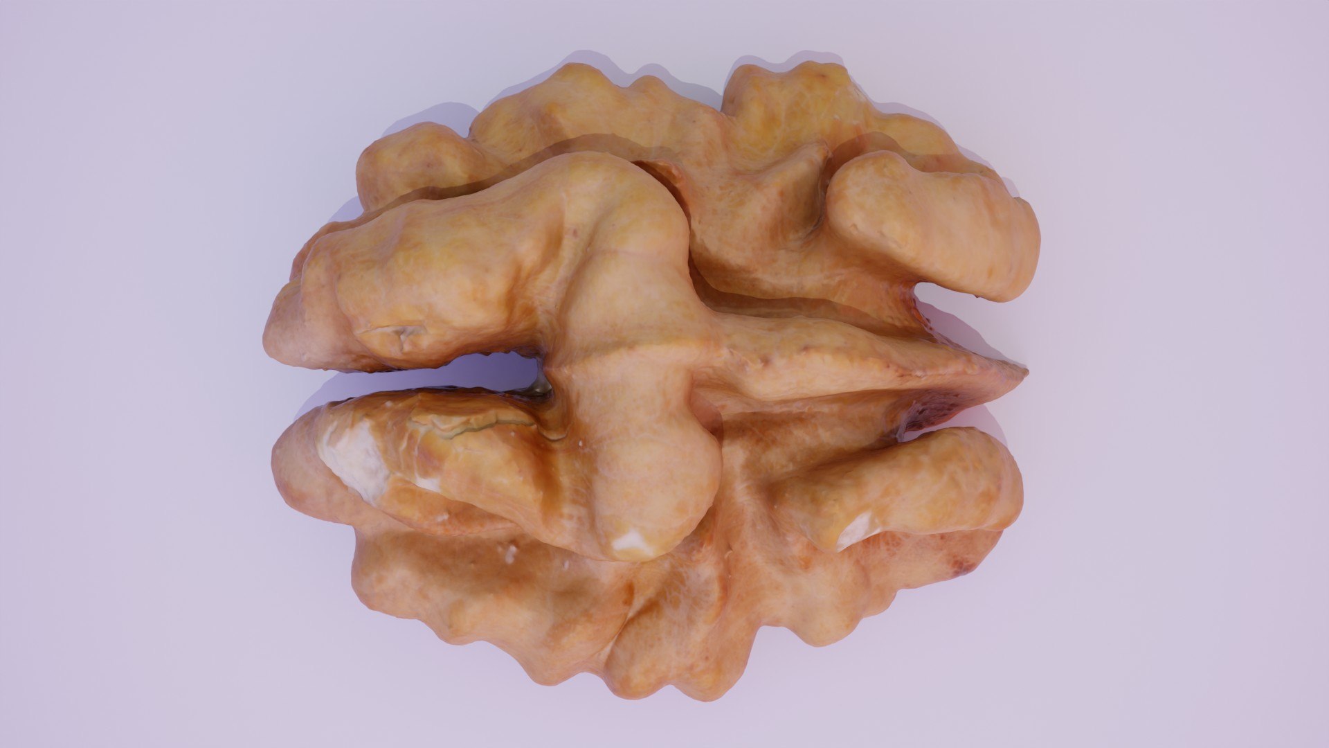 Walnut half kernel 01 high-poly 3D model model - TurboSquid 1866797
