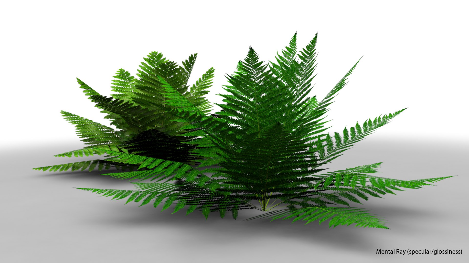3D Model Ferns Low-poly Pbr - TurboSquid 1555535