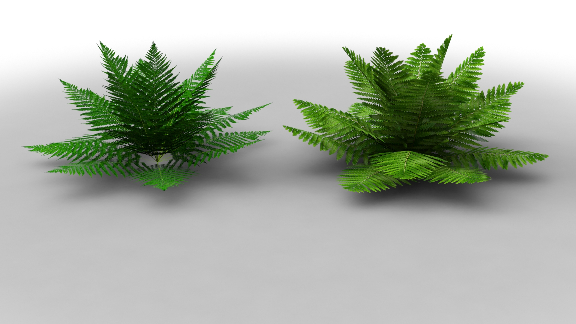 3D Model Ferns Low-poly Pbr - TurboSquid 1555535