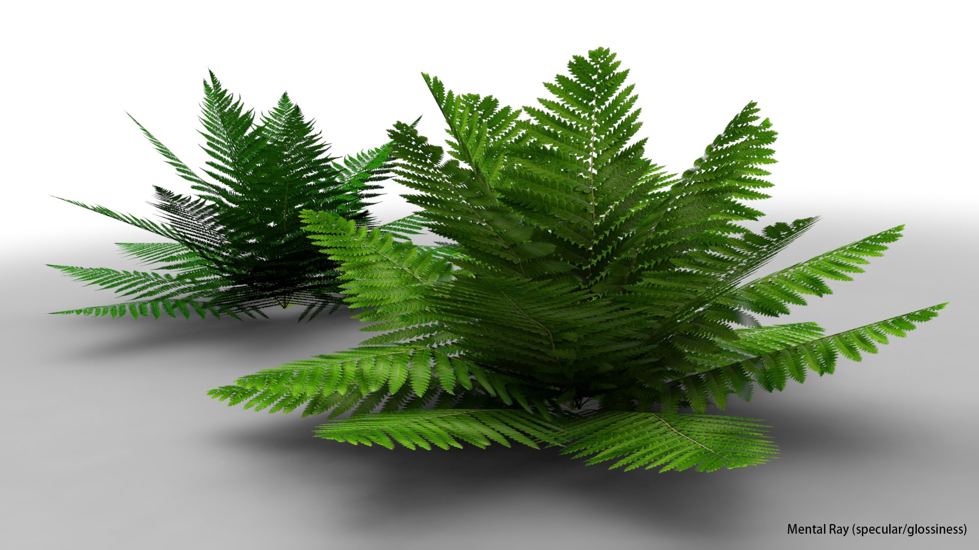3D Model Ferns Low-poly Pbr - TurboSquid 1555535