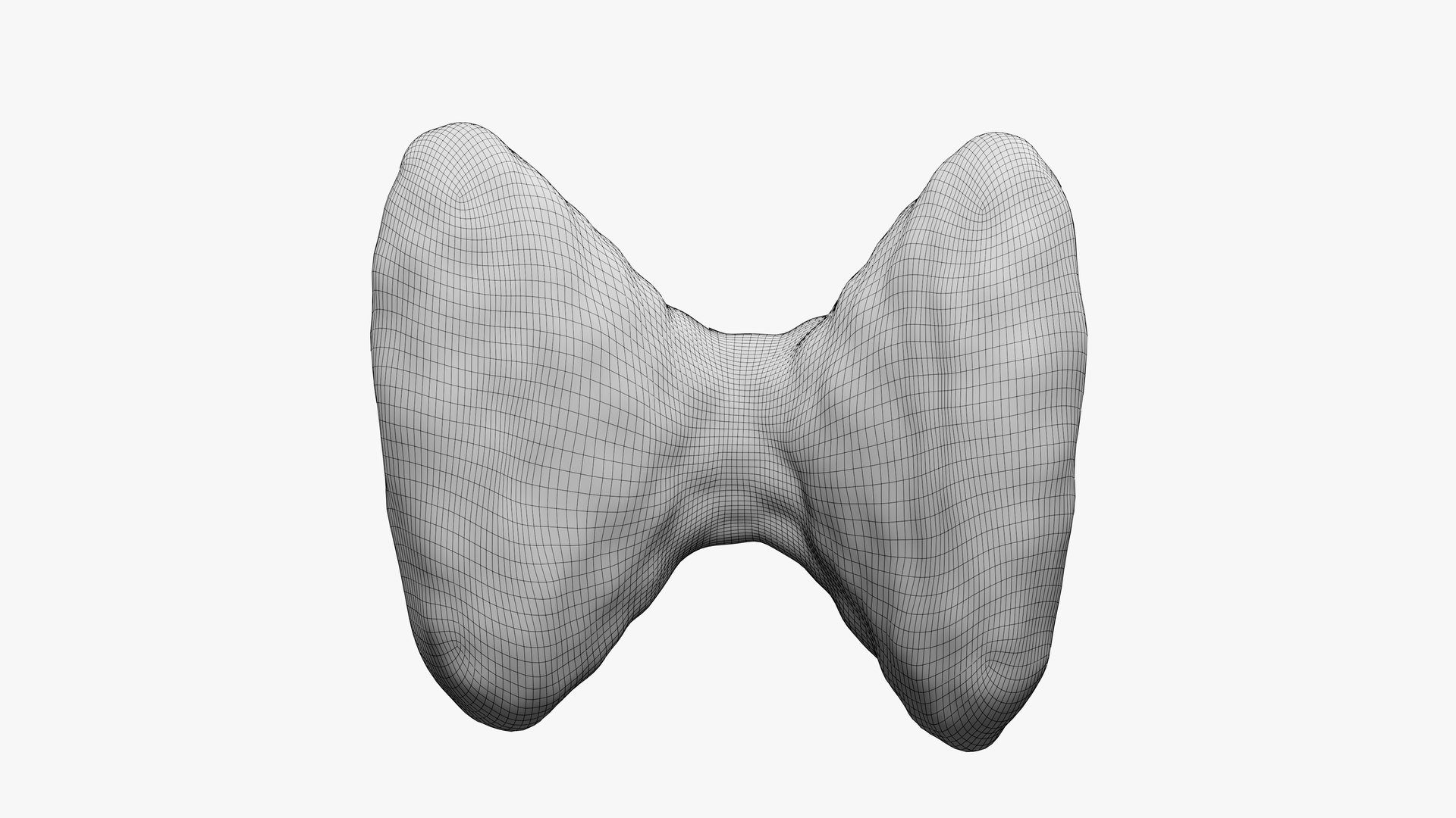 3D Thyroid Gland - TurboSquid 1876303