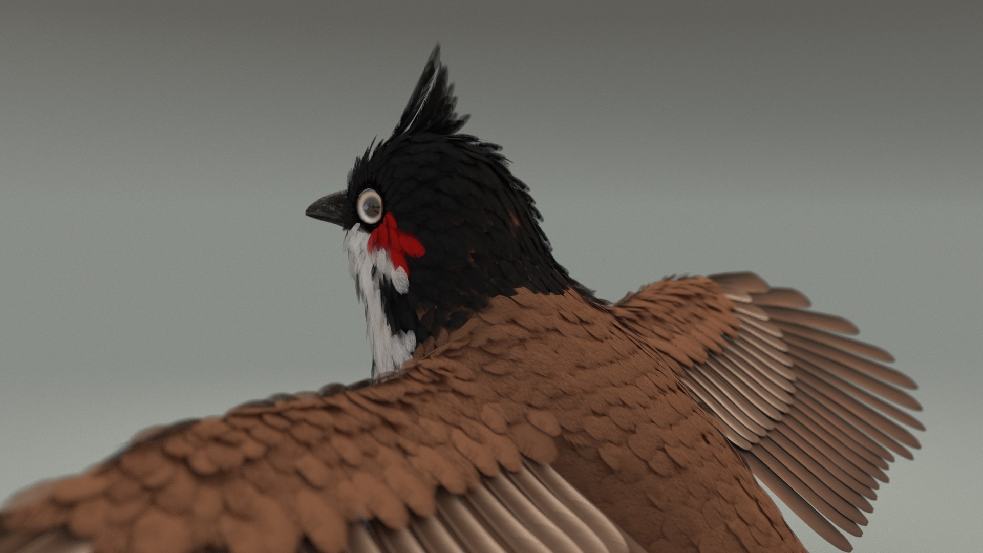 3D Bird Bird Sparrows Binding Model - TurboSquid 1832493