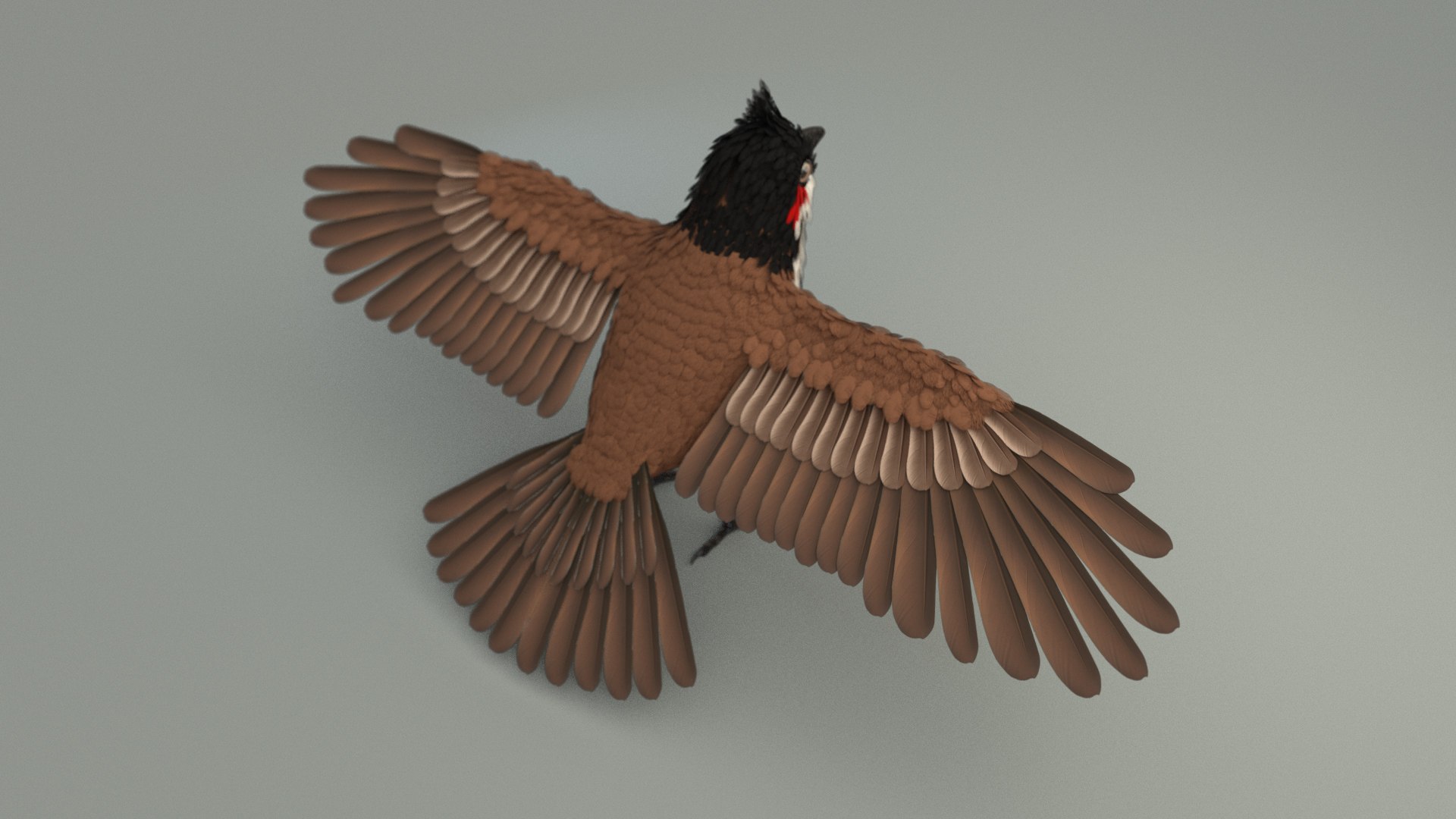 3D Bird Bird Sparrows Binding Model - TurboSquid 1832493