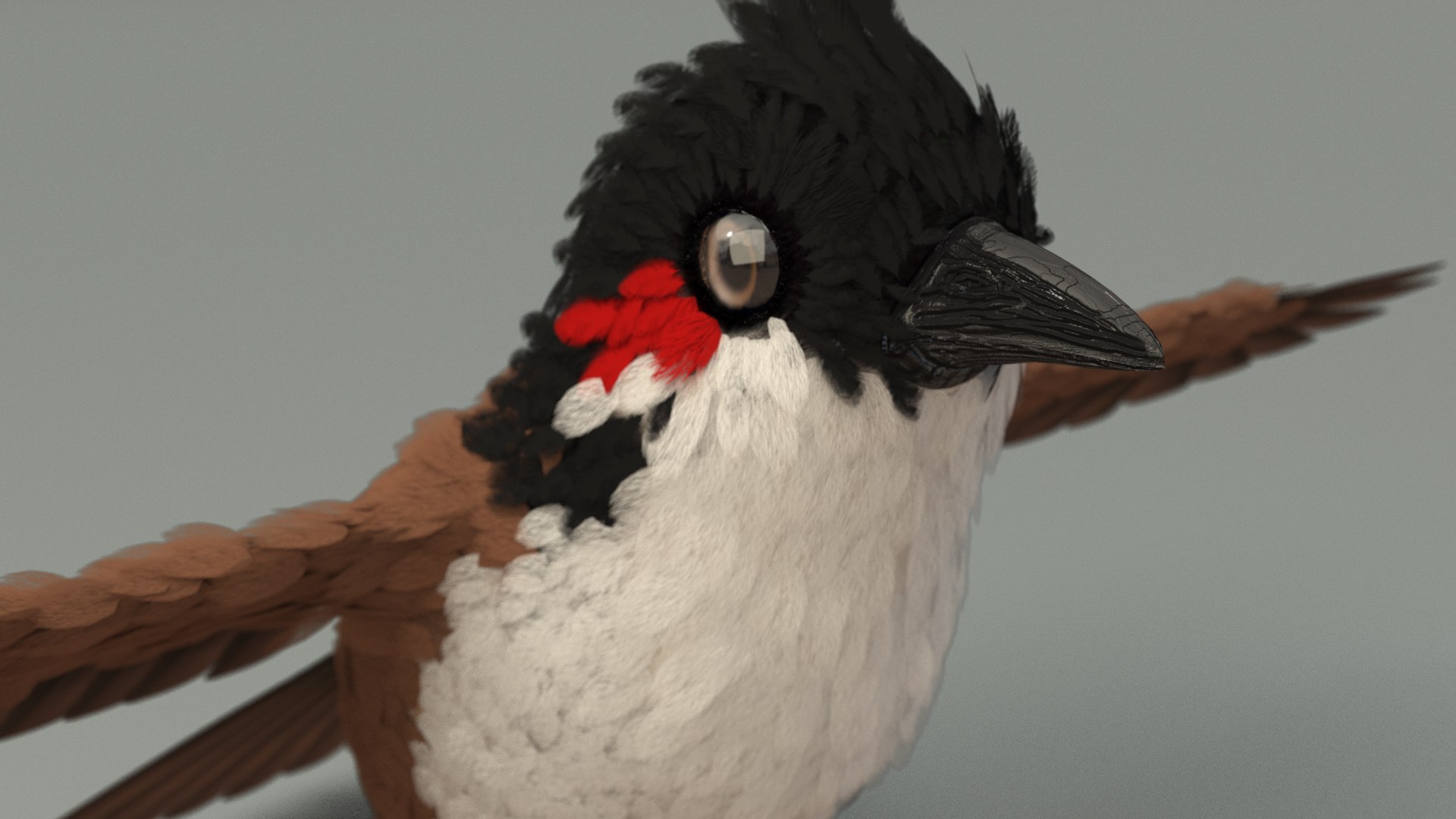 3D Bird Bird Sparrows Binding Model - TurboSquid 1832493