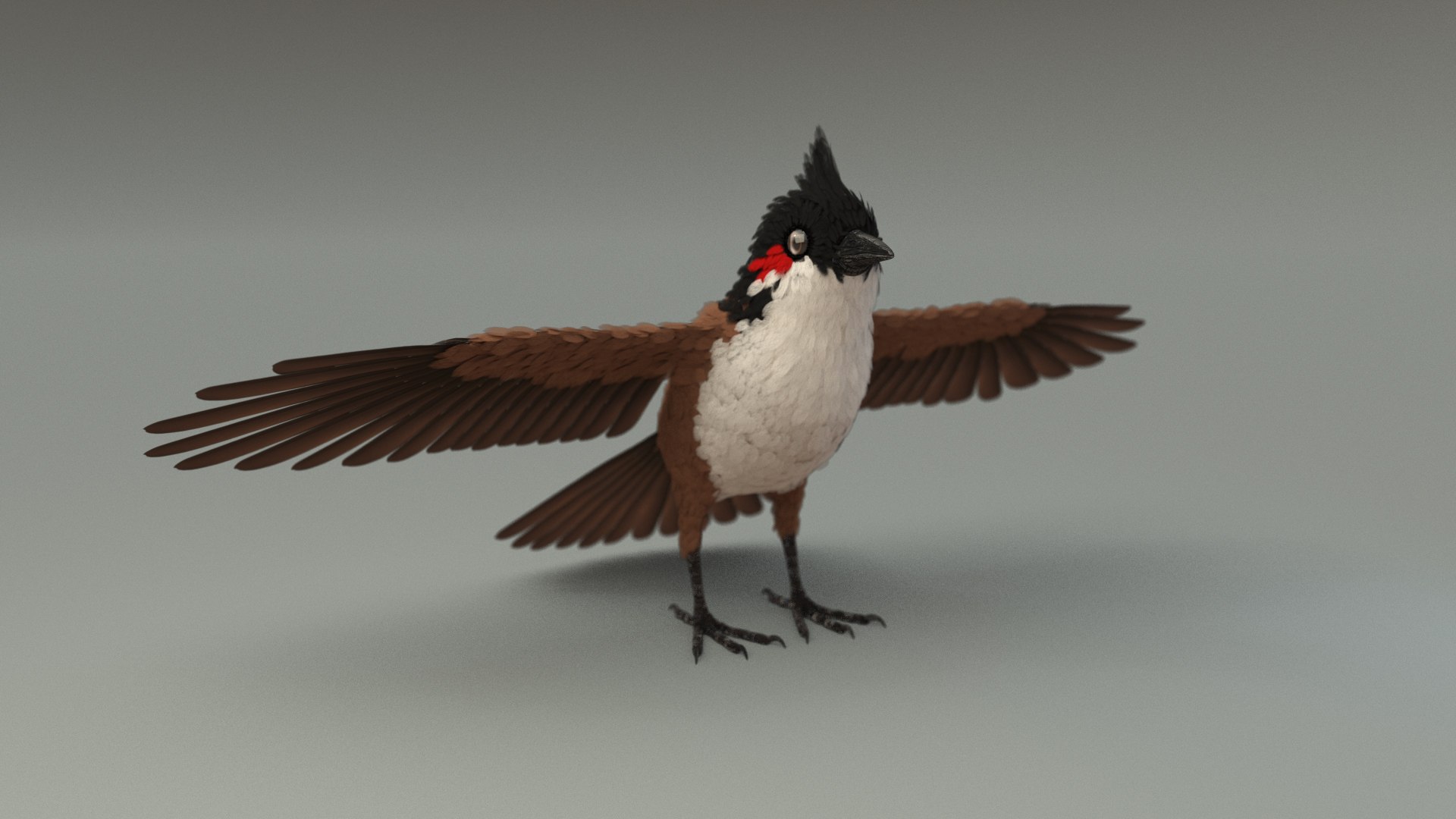 3D Bird Bird Sparrows Binding Model - TurboSquid 1832493