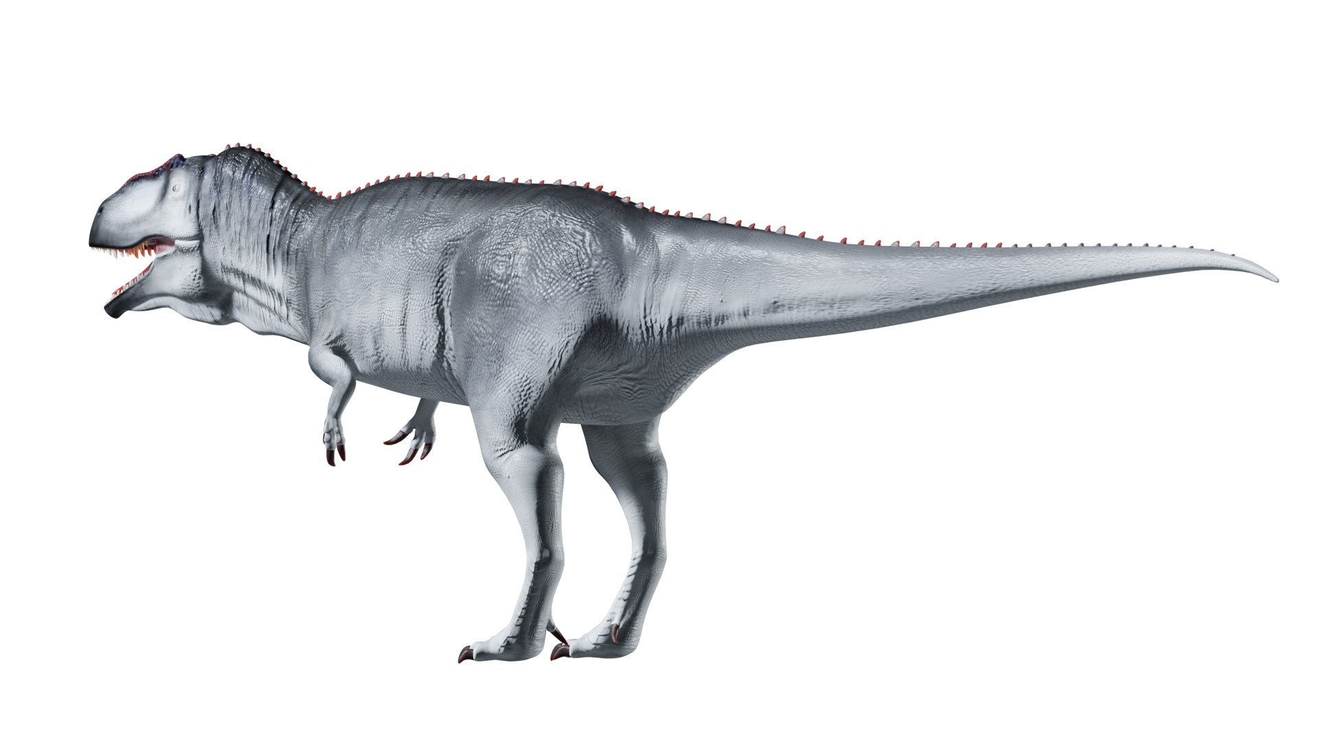 3D Giganotosaurus Model - TurboSquid 1911991