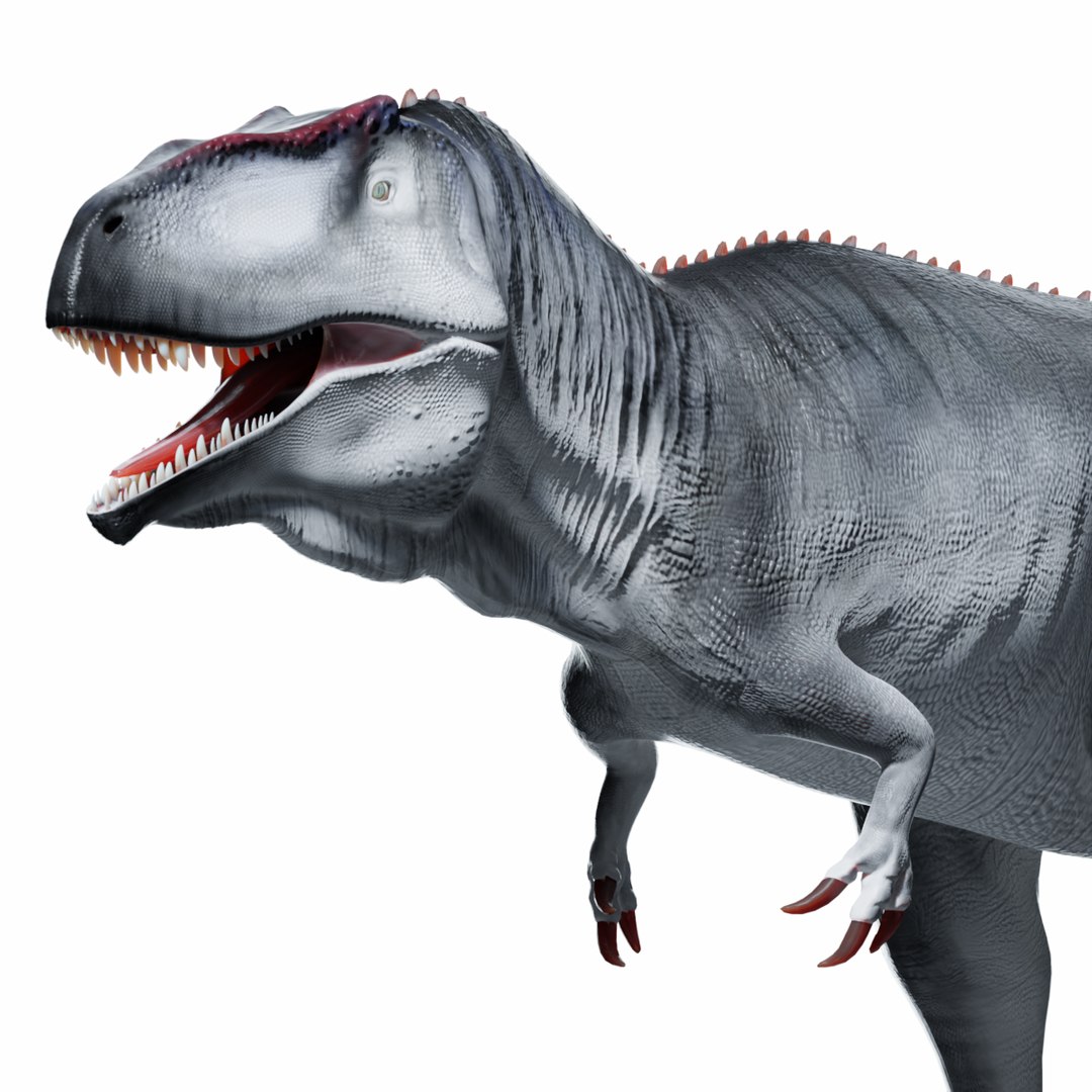 3D Giganotosaurus Model - TurboSquid 1911991