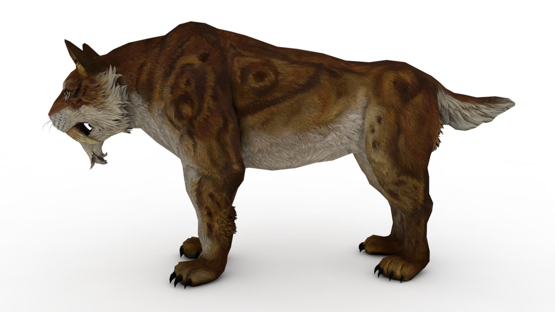3D Saber Tooth Tiger Model - TurboSquid 1840083