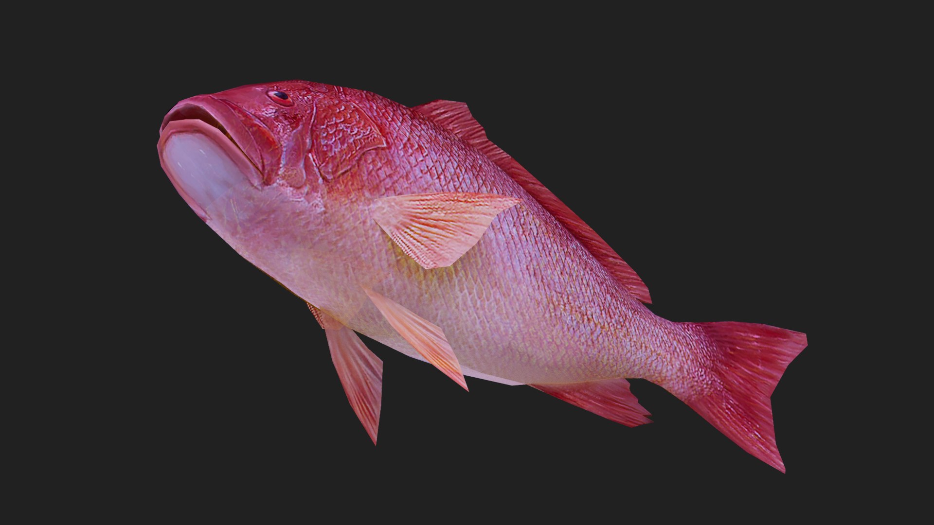 Snapper 3D Model - TurboSquid 2119713