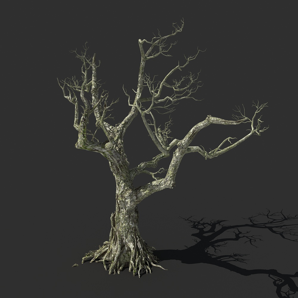 scary tree dry 3d model