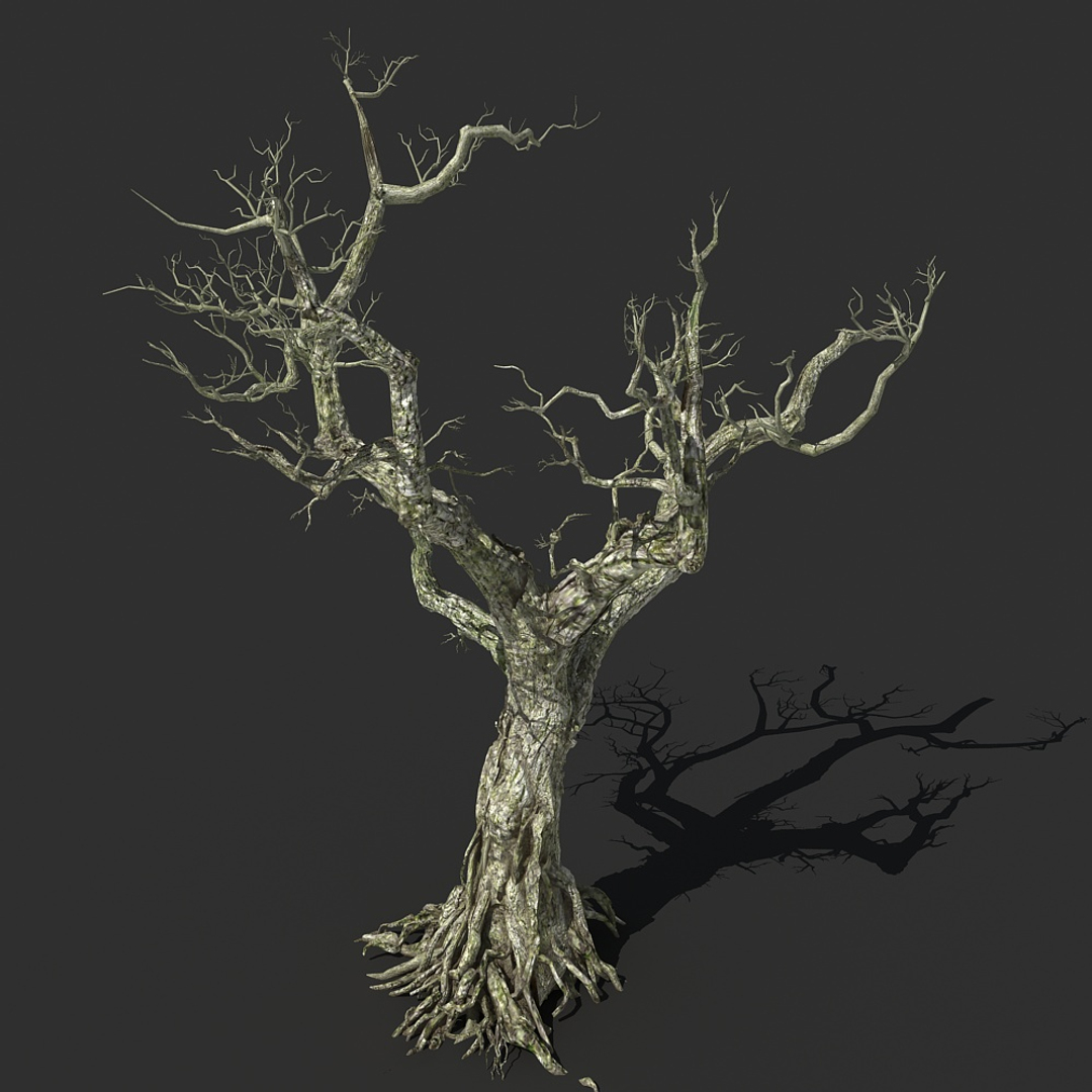 scary tree dry 3d model