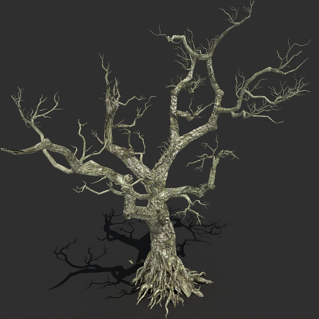scary tree dry 3d model