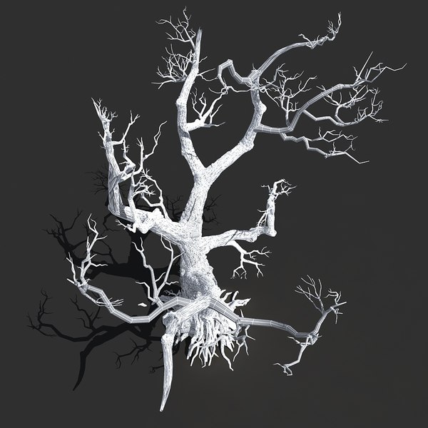 scary tree dry 3d model