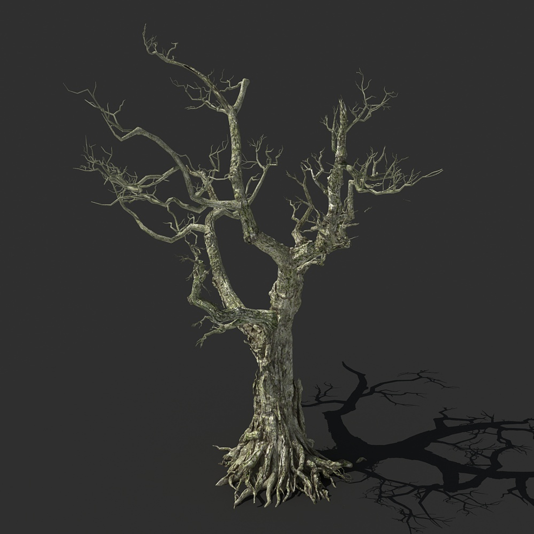 scary tree dry 3d model