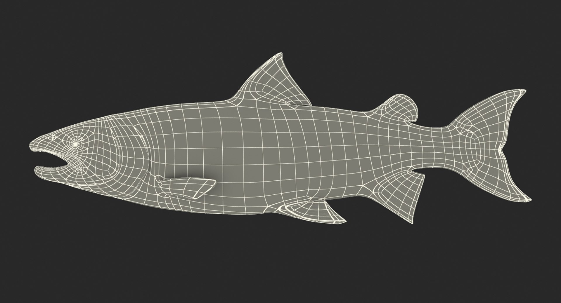 3d Model Atlantic Salmon Fish Rigged